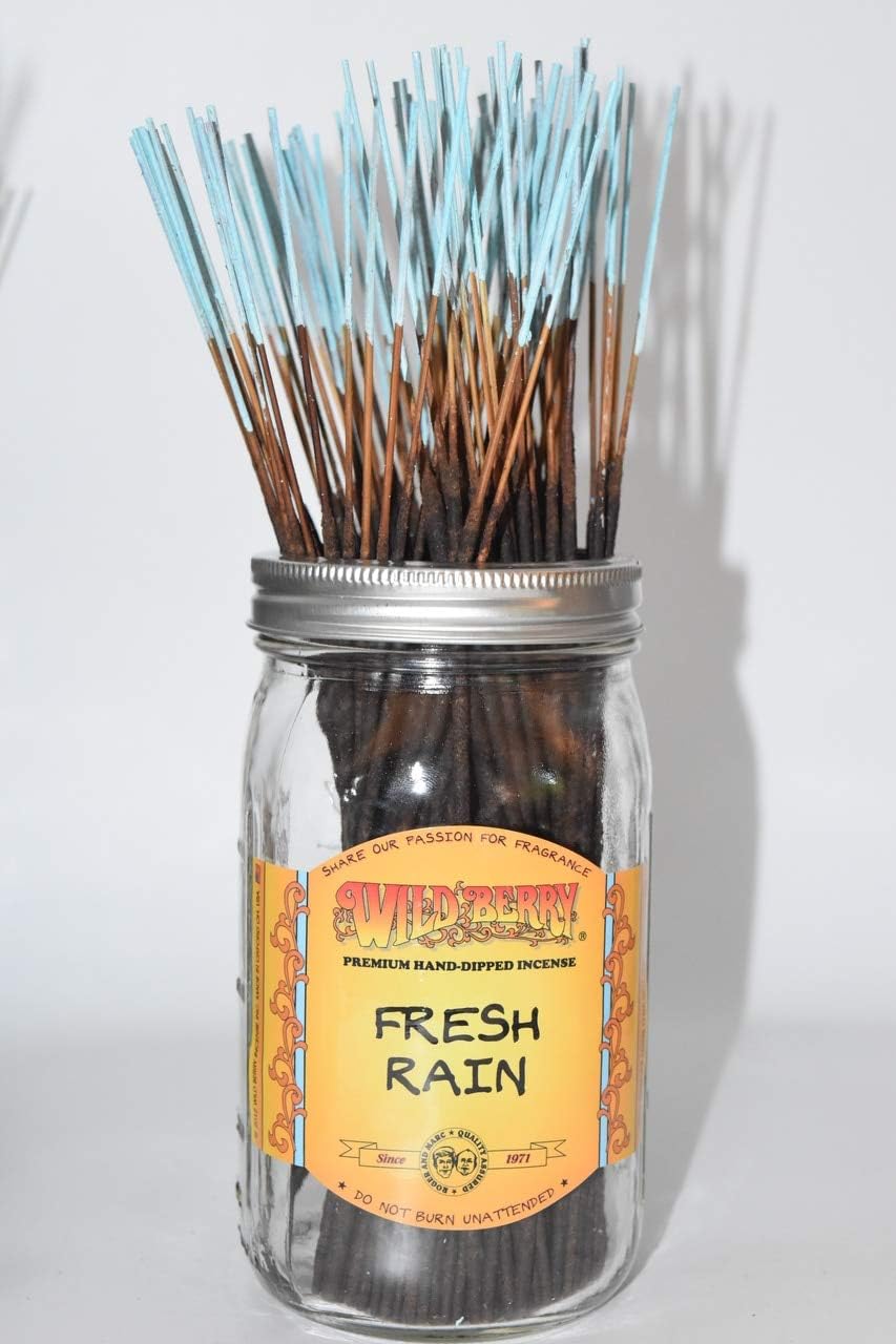 Amazon.com: Nature's Enlightenment Fresh Rain Wildberry Incense Sticks ...