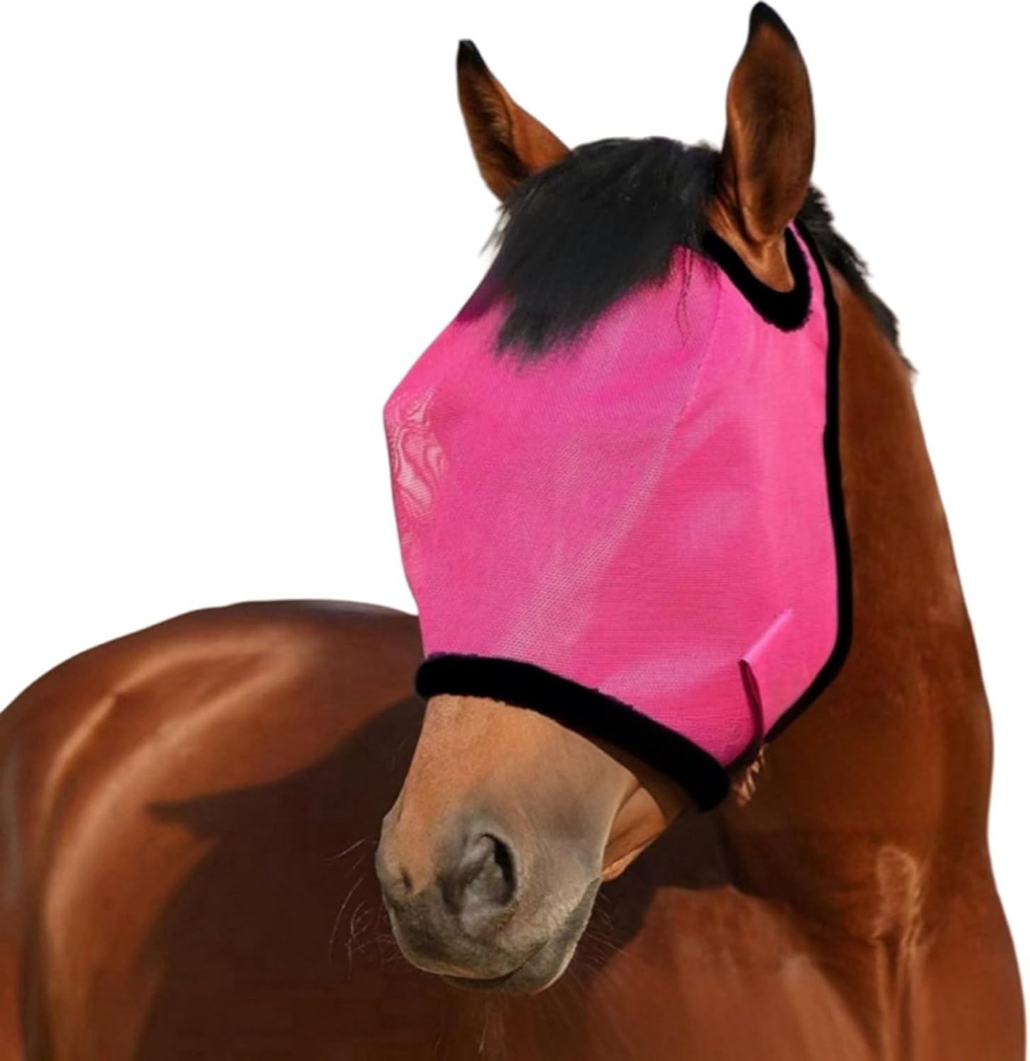 Horse Face Mask, Fly Masks for Horses Without Ears, Breathability, All ...