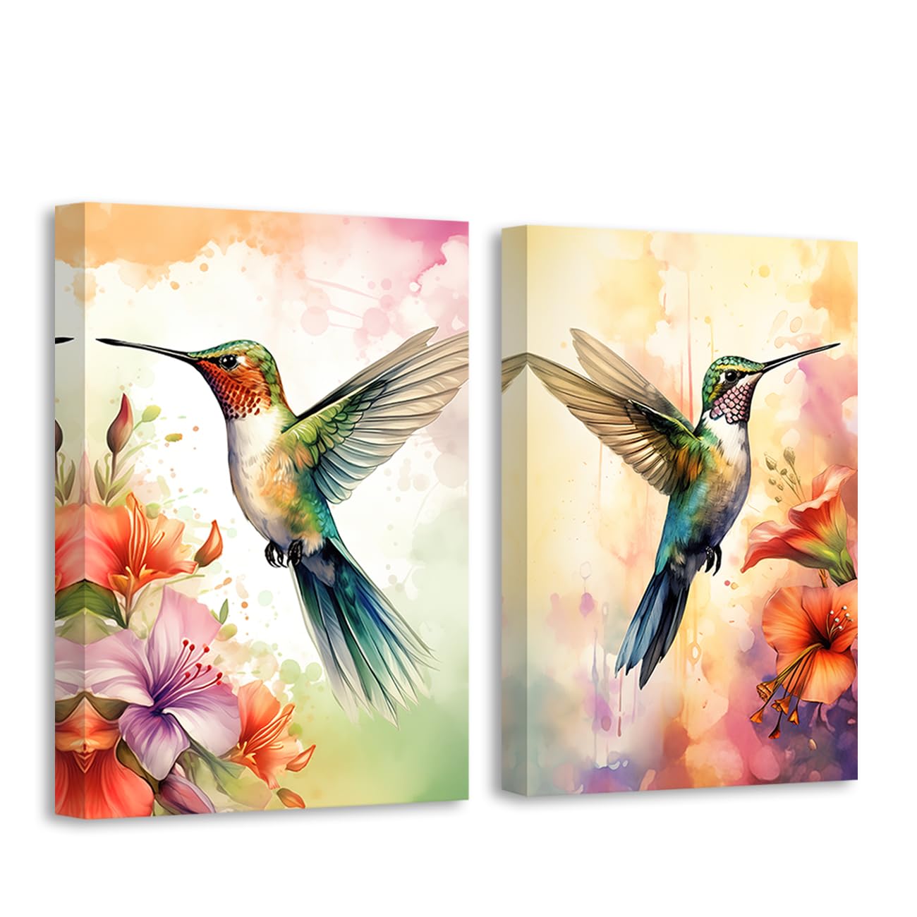 Amazon.com: PBXBJY Hummingbird Canvas Wall Art Birds Painting Print 2 ...
