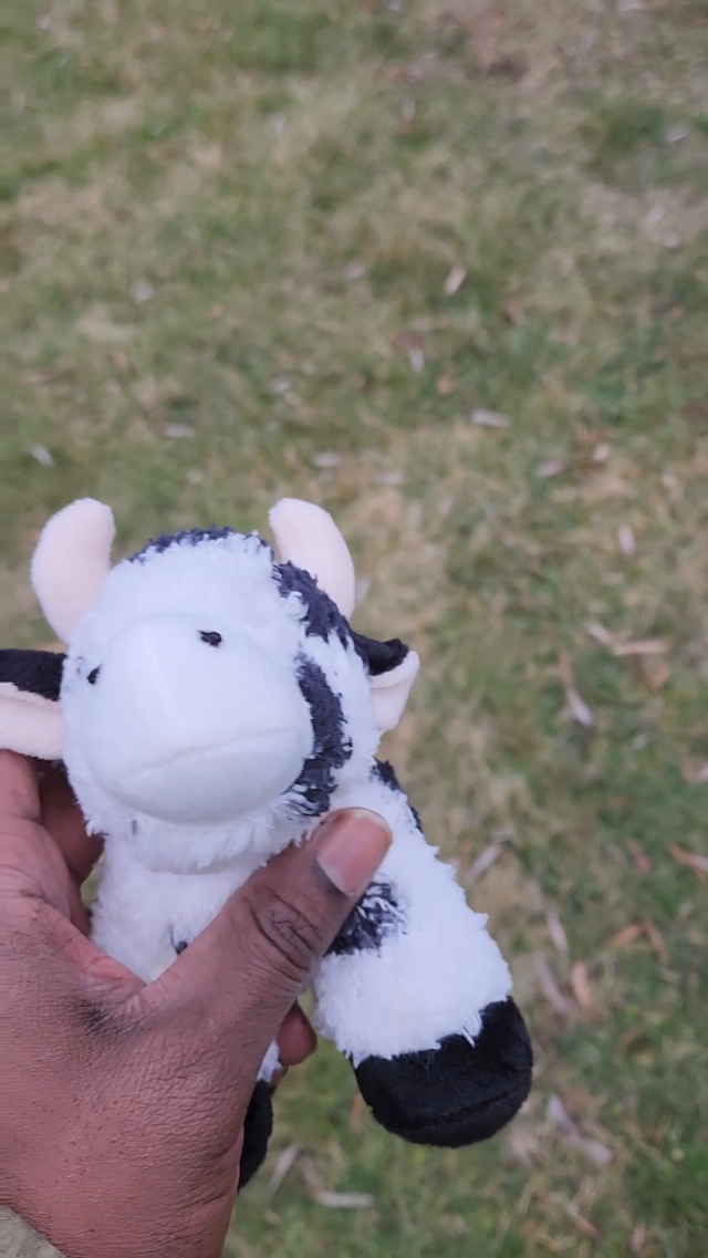 Watch Multipet Look Who＇s Talking Cow Dog Toy. Great For Small Pet on ...