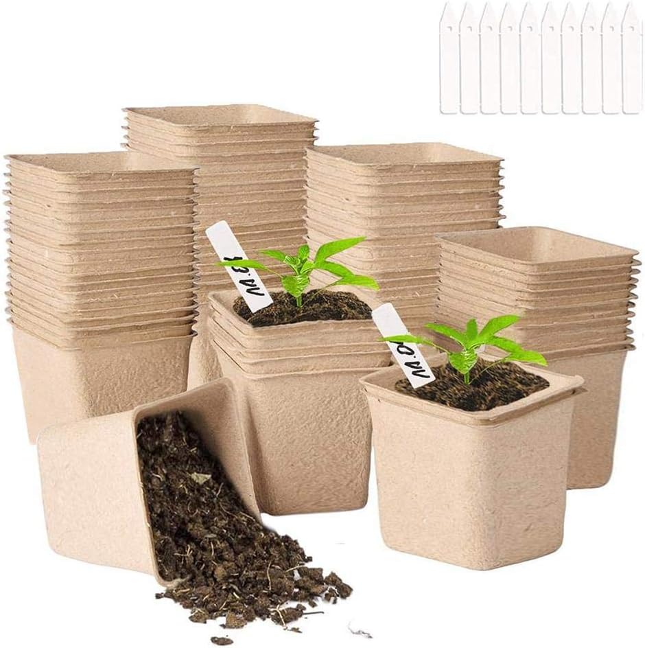 Amazon.com: CDQL Square Peat Pots,100pcs Biodegradable Planter for ...