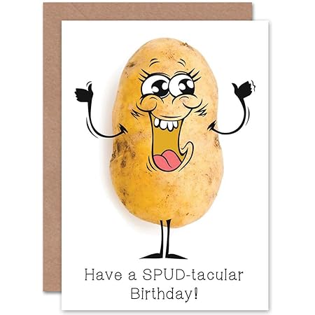 NEW BIRTHDAY SPUD POTATO FUNNY HUMOUR ART GREETINGS GREETING CARD GIFT ...