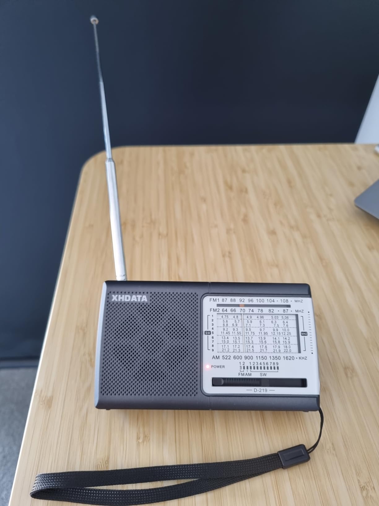 XHDATA D219 Radio Portable Pocket AM FM SW 12 Bands Radio with Long ...