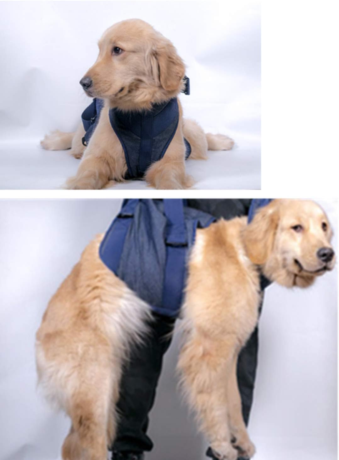 Dog Full Body Lift Support Harness – Pet Rehabilitation Walking ...