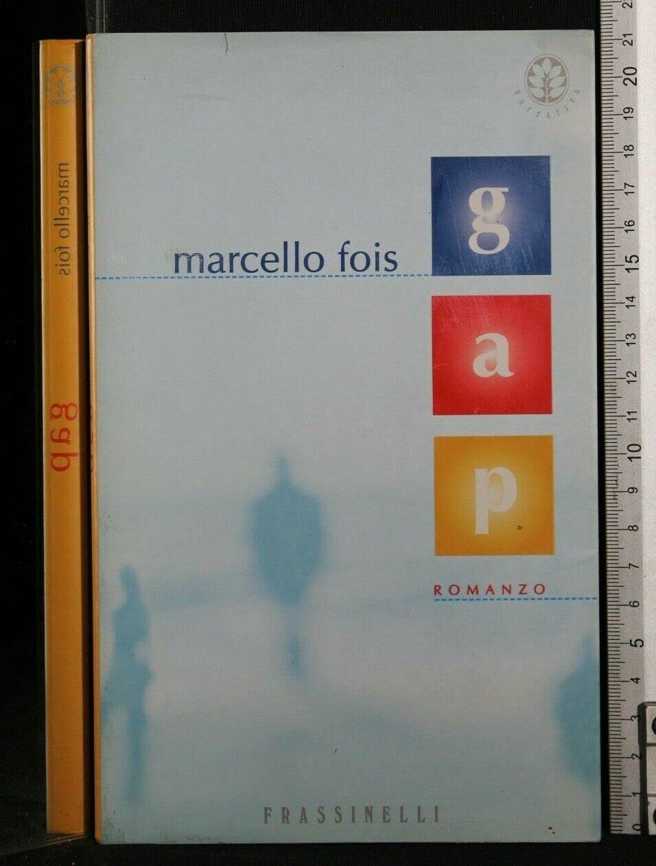 Amazon.com: Gap: [romanzo] (Narrativa) (Italian Edition): 9788876845659 ...