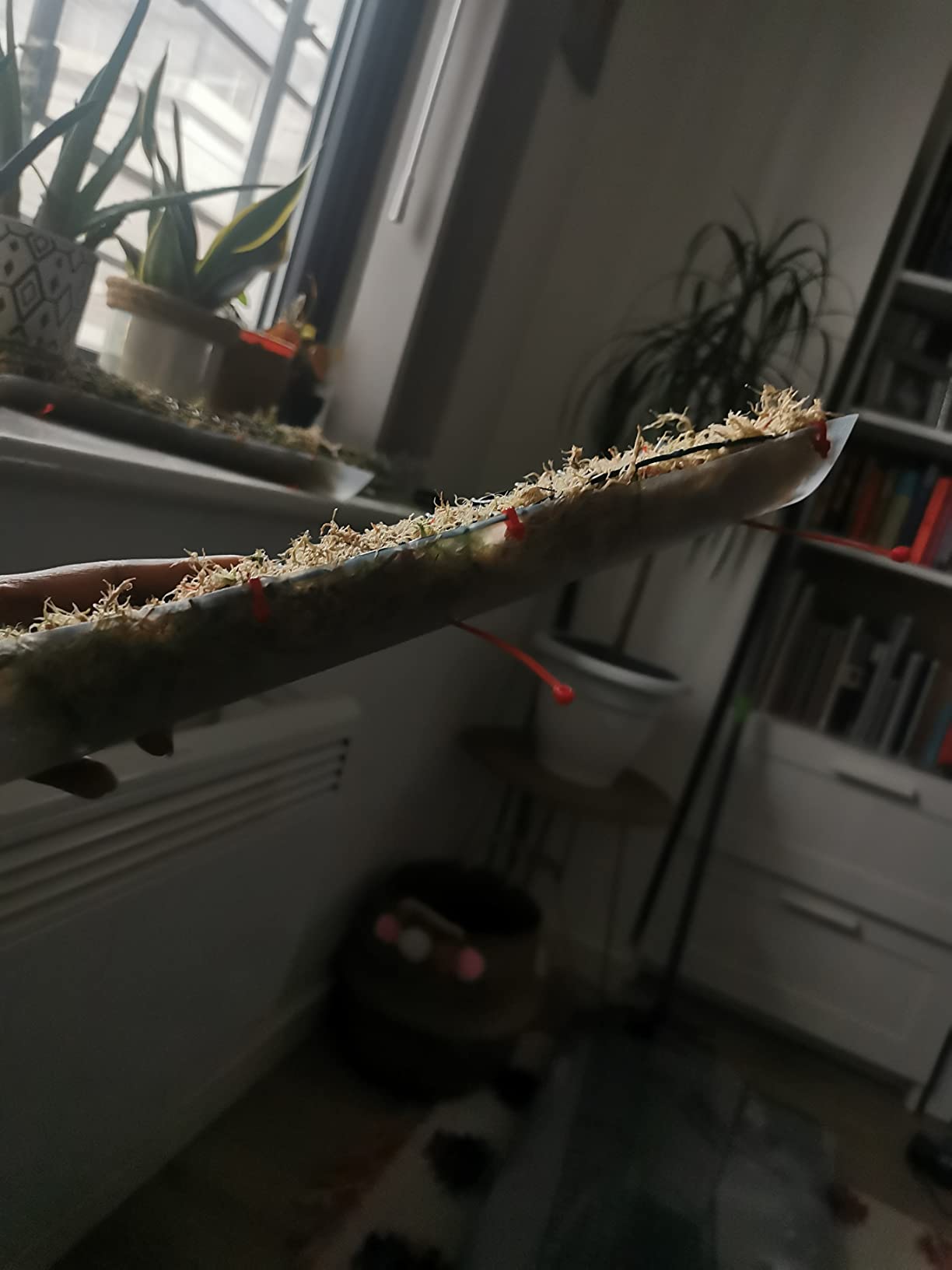 Essential Arts A3 Frosted Acetate 300 Micron Pack of 10 Sheets. Extra ...