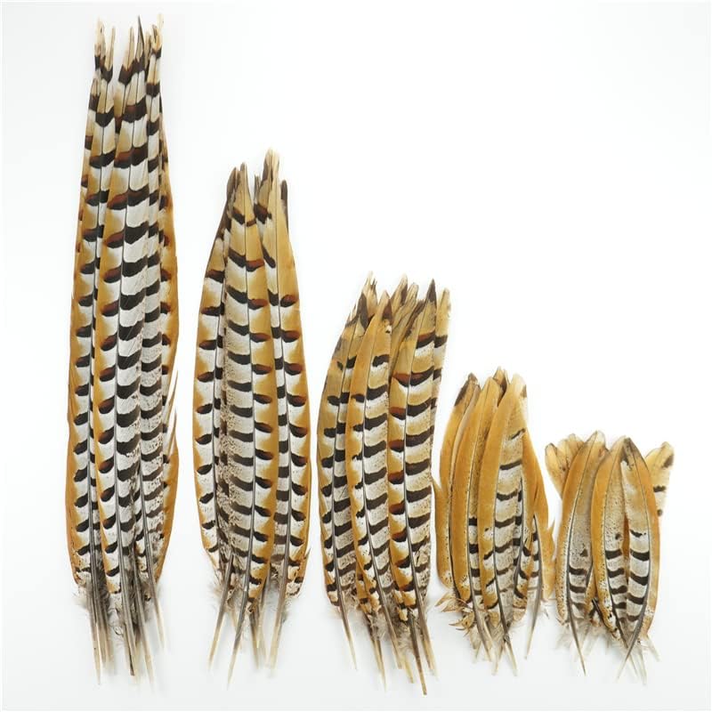 Plumas de faisán Lady Amherst de 10 a | Yaxa Colombia