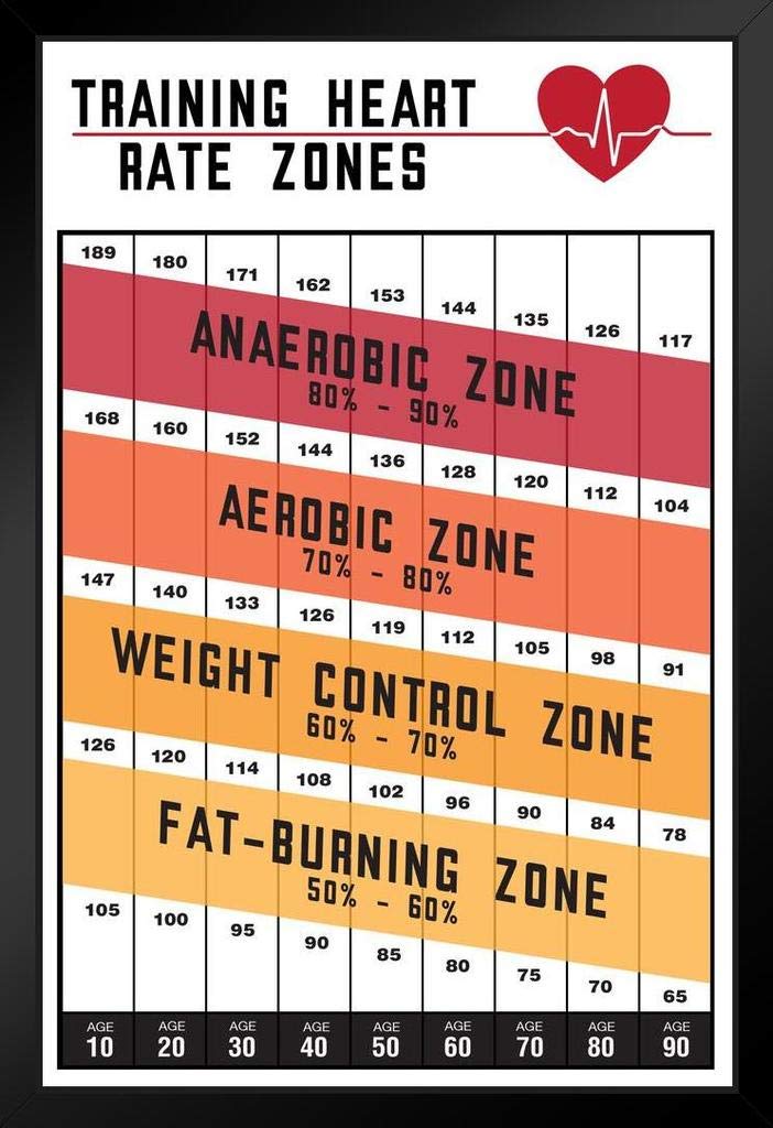 Amazon.com: Fitness Heart Rate Chart Variability Training Zones ...