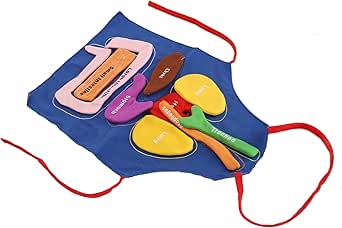 Amazon.com: ZJchao DIY Organ Apron for Kids, Learn Body Organs with ...