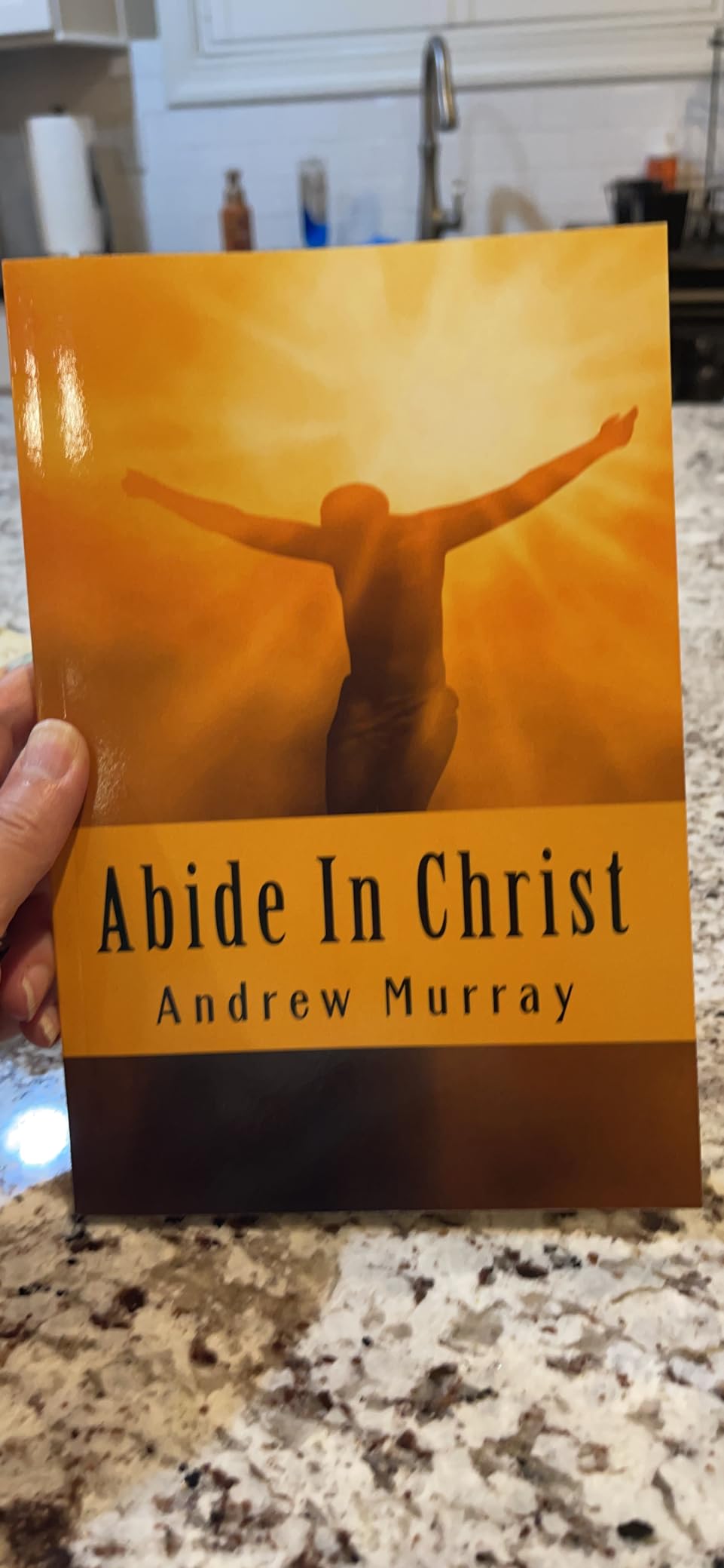 Abide in Christ: The Joy of Being in God's Presence (Deluxe Gift ...