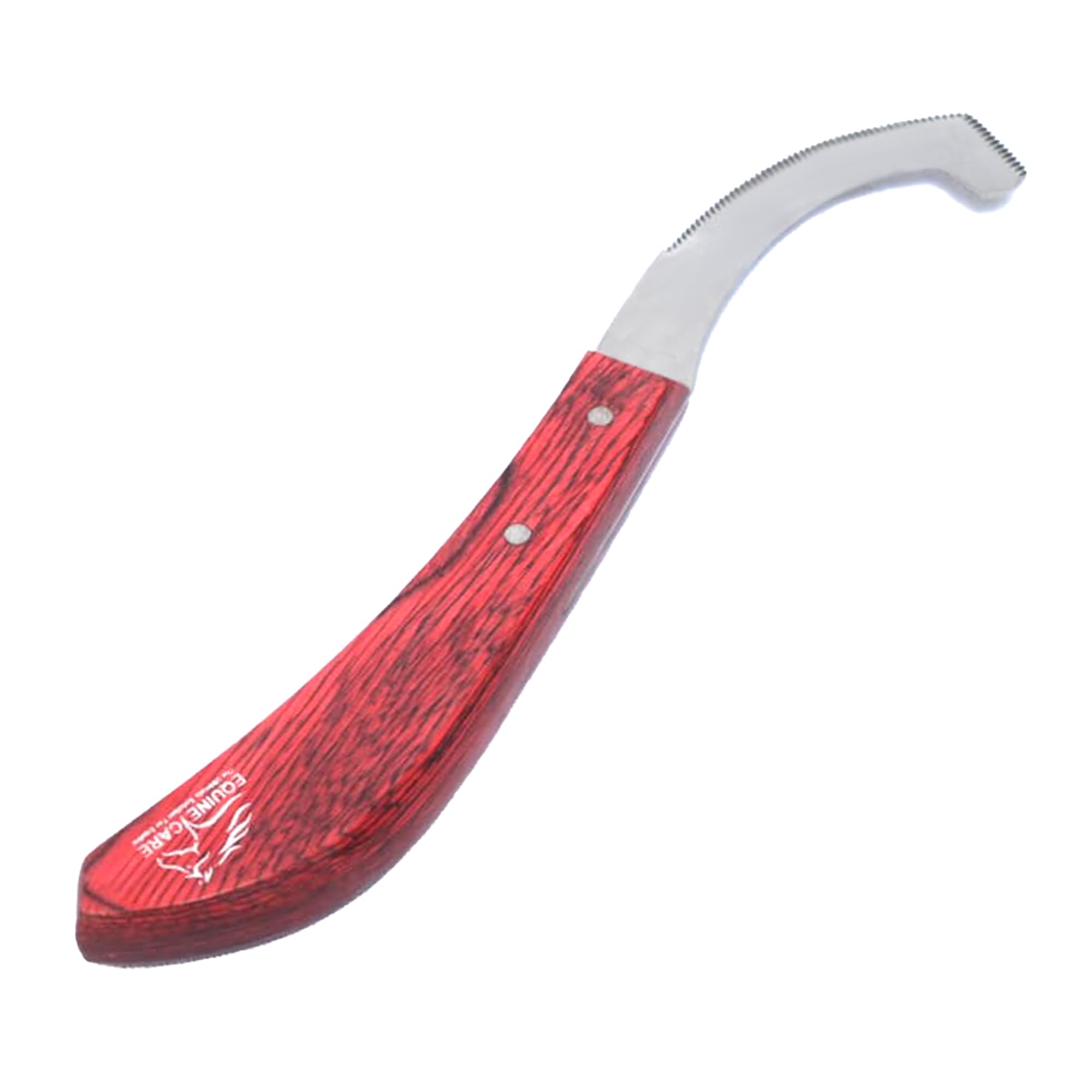 Amazon.com : Equine Care Bot Egg Knife for Horses – Precision Grooming ...