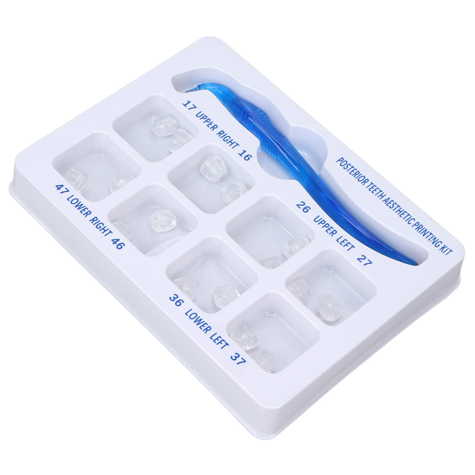 Buy ior Teeth Aesthetic Cast Tool, Harmless ior Teeth Aesthetic ...