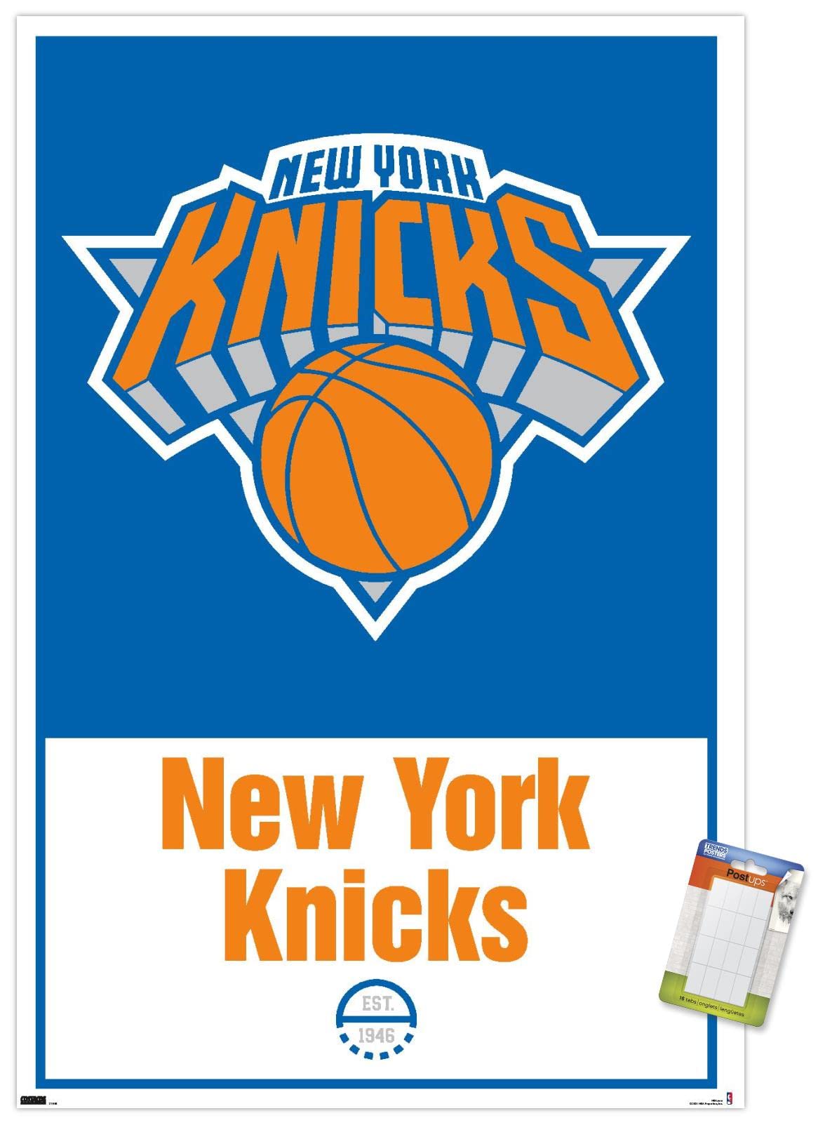Amazon.com: Trends International NBA New York Knicks - Logo 21 Wall ...