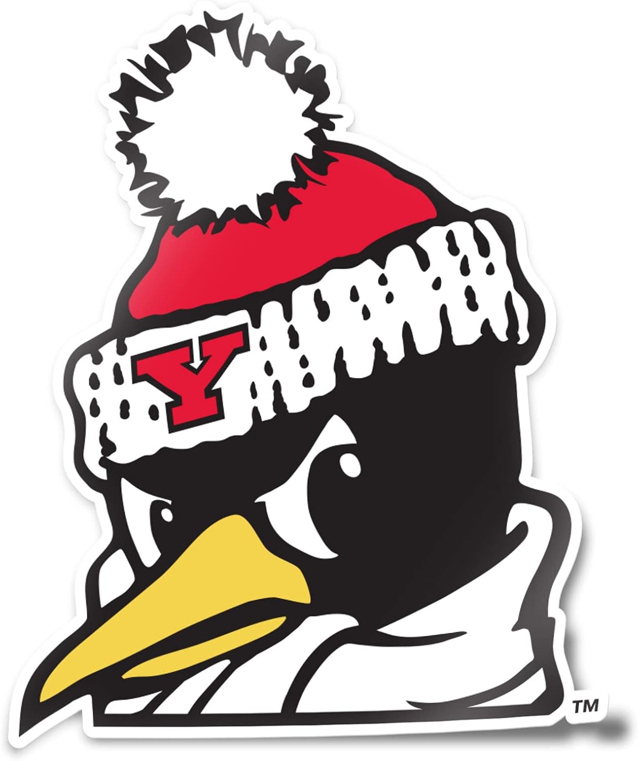 Amazon.com: Desert Cactus Youngstown State University Sticker YSU ...