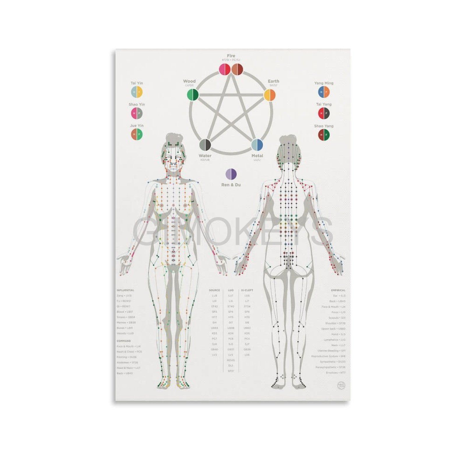 Traditional Chinese Medicine Meridian Charts A Deep Dive Into The