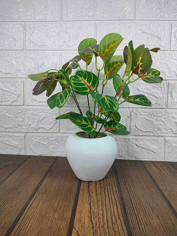 Buy VIMIFORYOU Balcony Plants, Terrace Plant, Decor Pot, Apple Design ...