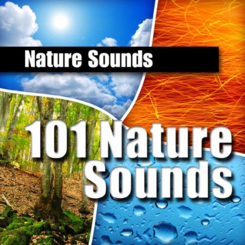 Amazon.com: 101 Nature Sounds : Nature Sounds: Digital Music
