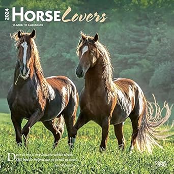 Horse Lovers 2024 Square : Amazon.in: Books