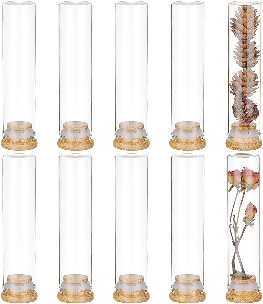 Amazon.com: BENECREAT 10Pcs 60ml/2oz Glass Bead Storage Tubes, Glass ...