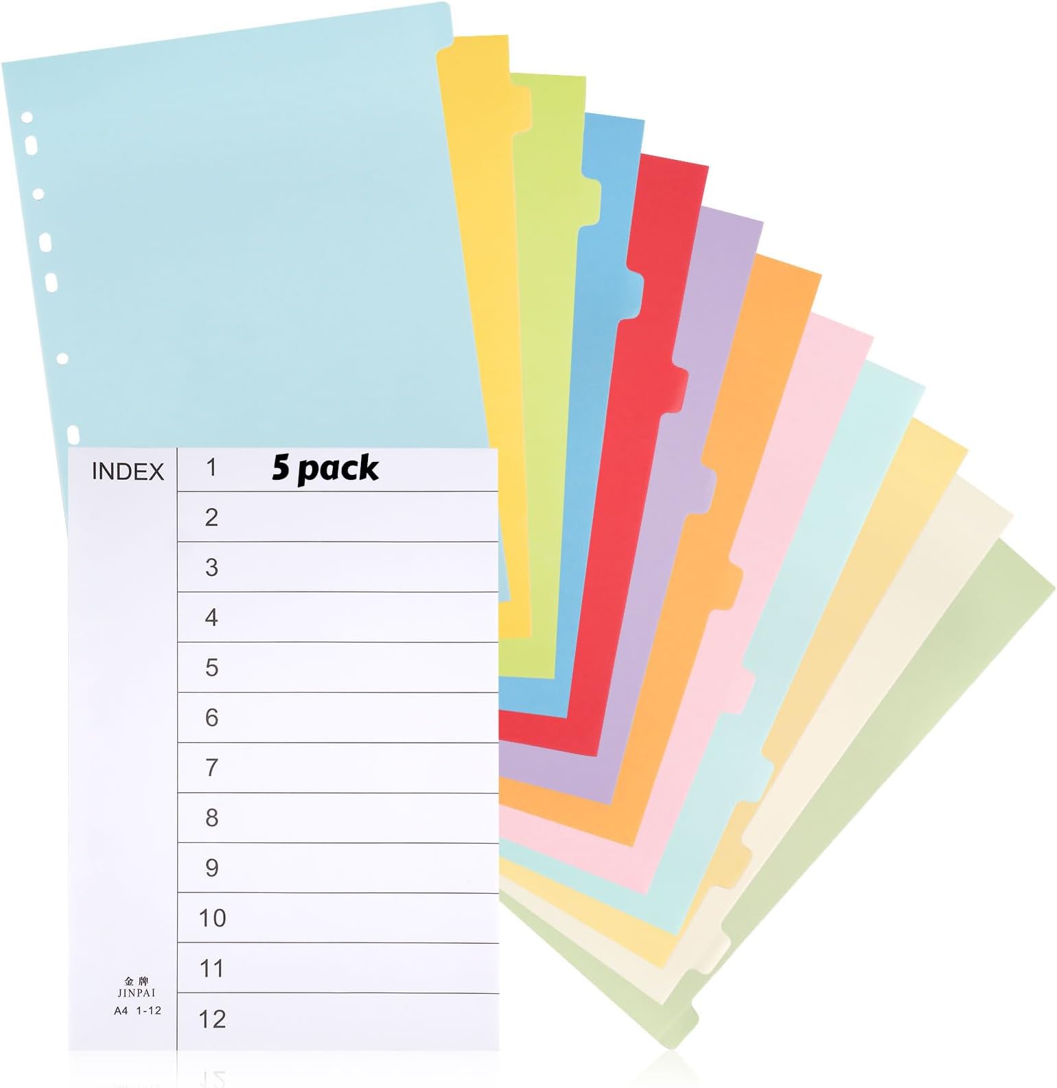 Viquel - Pack of 12 Plastic Rainbow Pastel Dividers - Maxi Format (24.5 ...