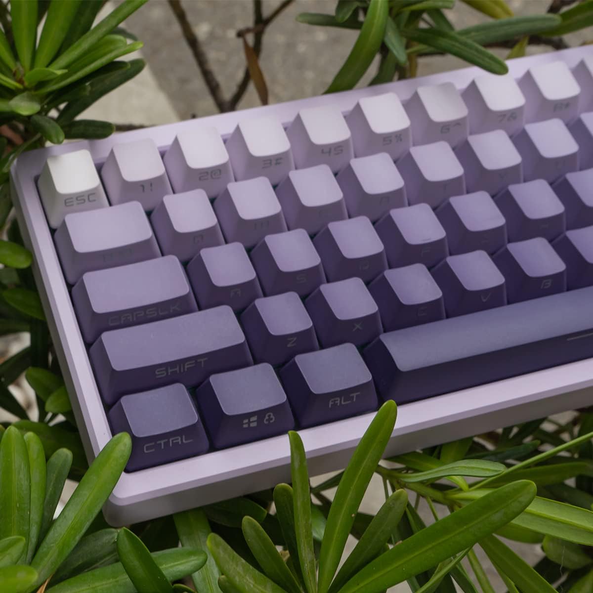 PBT Doubleshot Keycaps 134 Keys Gradient Purple Backlit OEM Profile ...