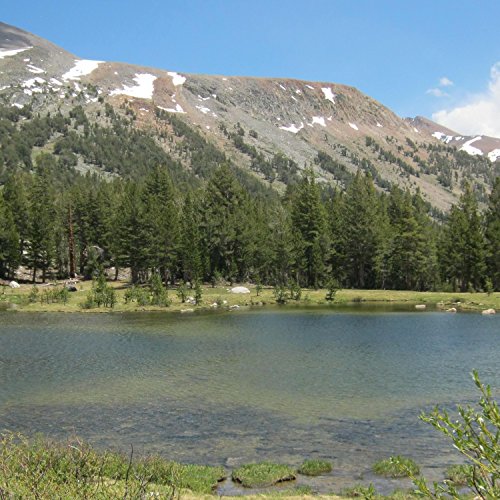 Play Systema Cosmica by Eric Thorman on Amazon Music