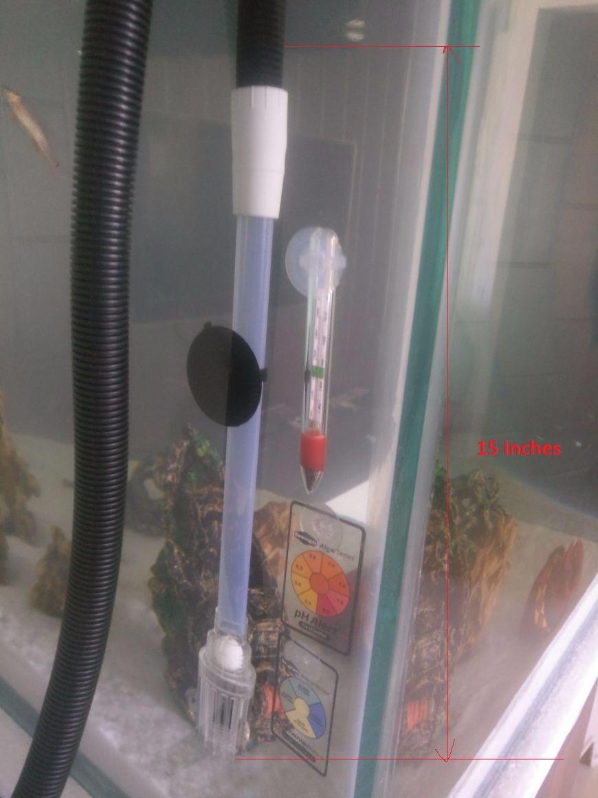 Fluval 306 Canister Filter : Amazon.in: Pet Supplies