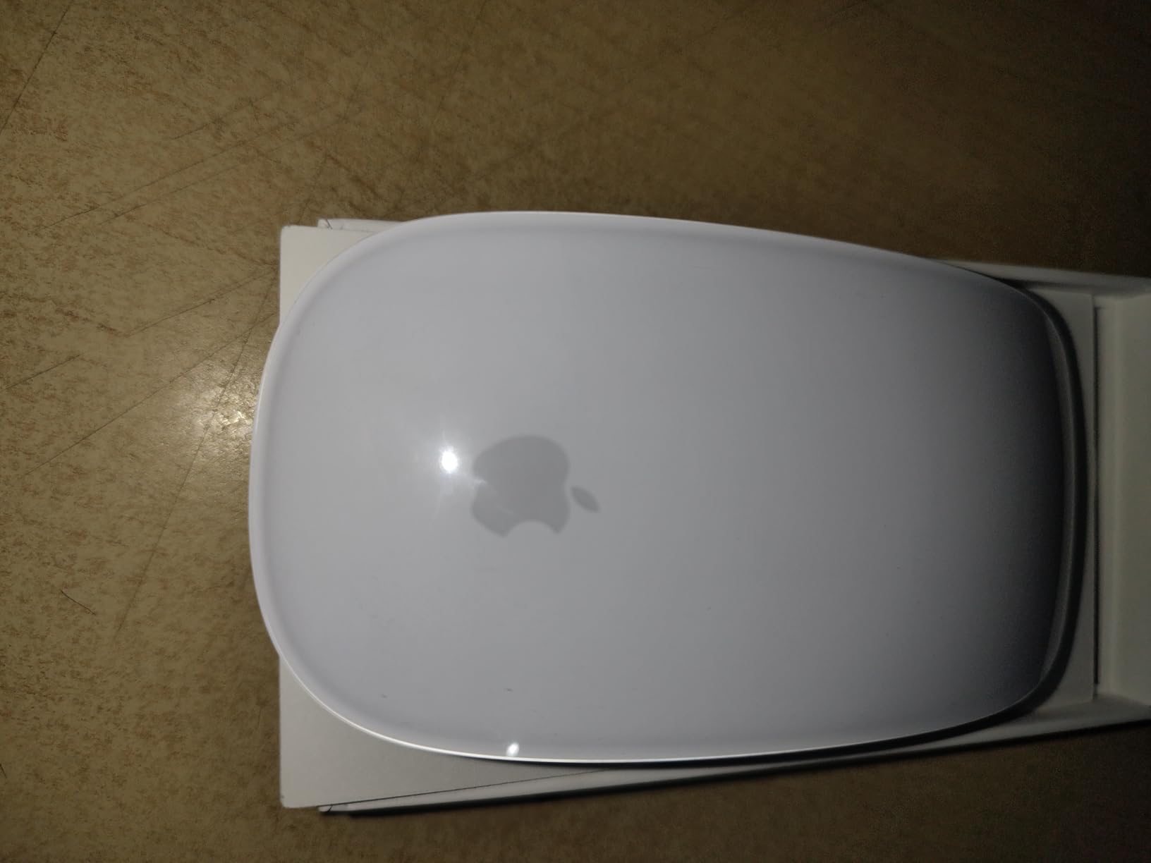 Amazon.in: Buy Apple Magic Mouse - White Multi-Touch Surface - USB-C ...