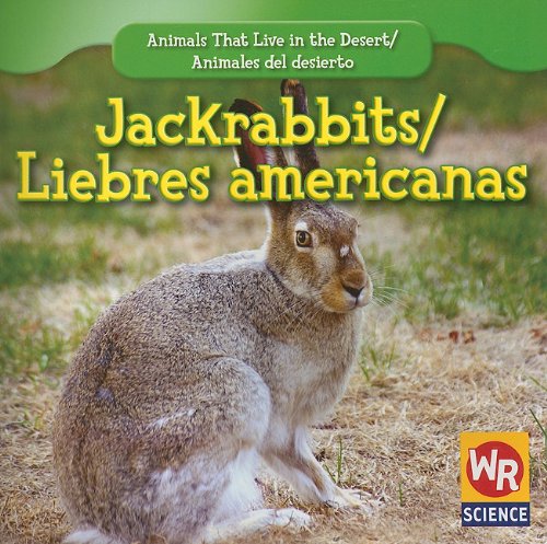 Jackrabbits/ Liebres Americanas (Animals That Live in the Desert ...