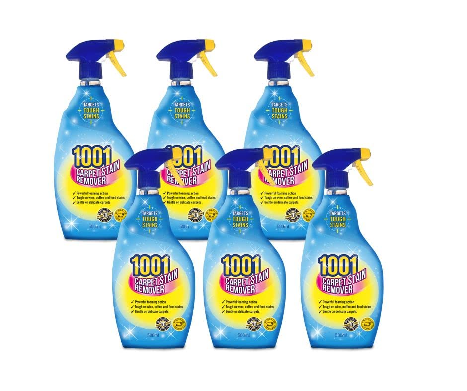 1001 Carpet Stain Remover 500ml Pack of 6 : Amazon.co.uk: Grocery