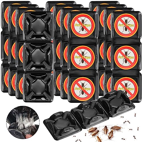 Find The Best Indoor Ant Bait Traps Reviews & Comparison - Katynel