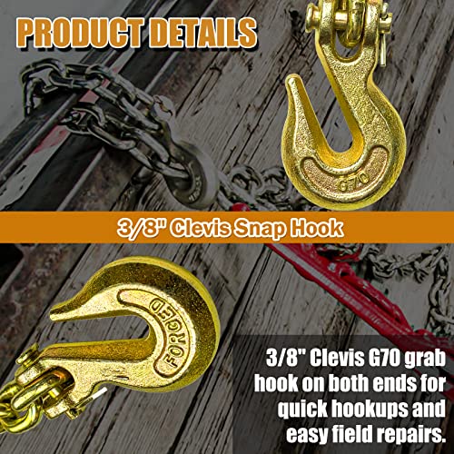 Snapklik.com : FITHOIST G80 Transport Binder Chain 3/8 Inch X 20 Foot ...
