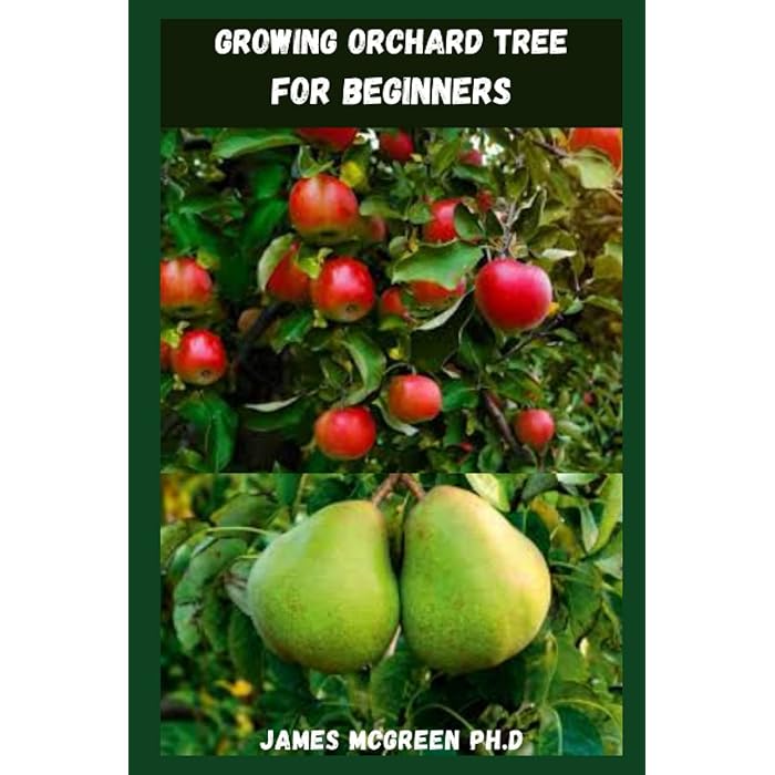 Buy GROWING ORCHARD TREE FOR BEGINNERS: Detailed Guide On How To Grow ...