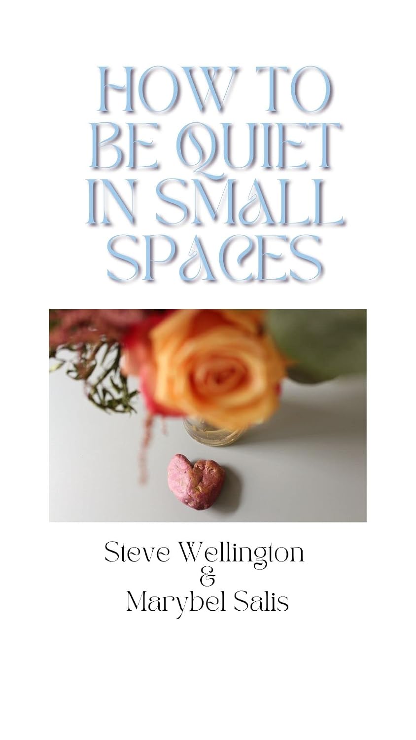 How To Be Quiet In Small Spaces - Kindle edition by Wellington, Steve ...