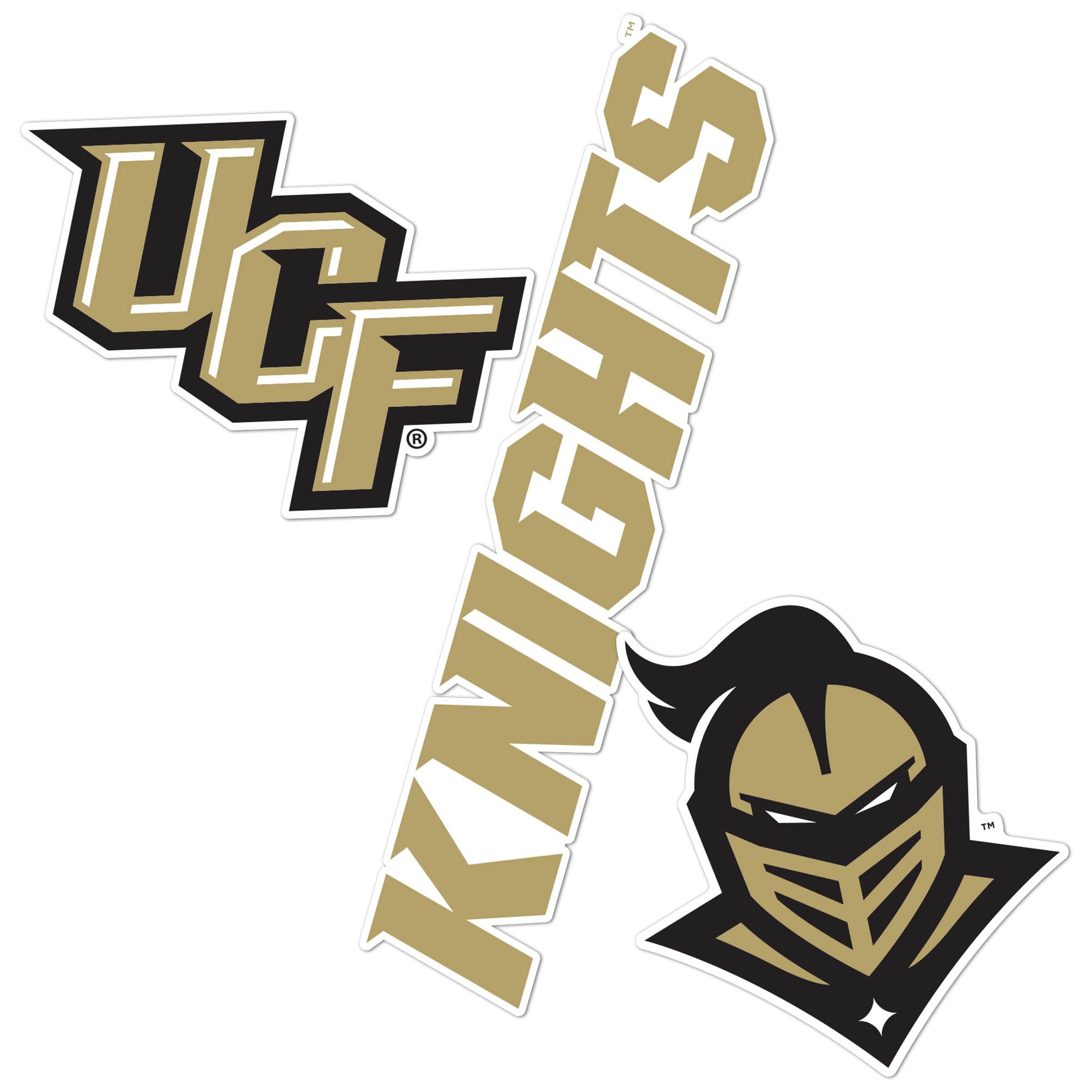 Amazon.com: Desert Cactus University of Central Florida Sticker Knights ...