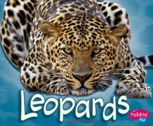 Leopards (Pebble Plus, African Animals): Nuzzolo, Deborah ...