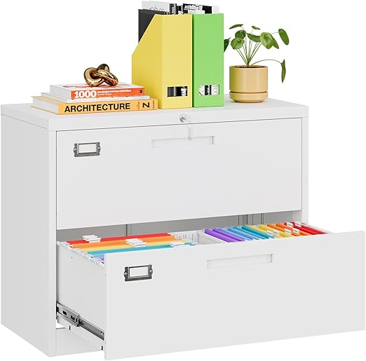 Amazon.com: MIIIKO Lateral File Cabinet 2 Drawer with Lock, White ...
