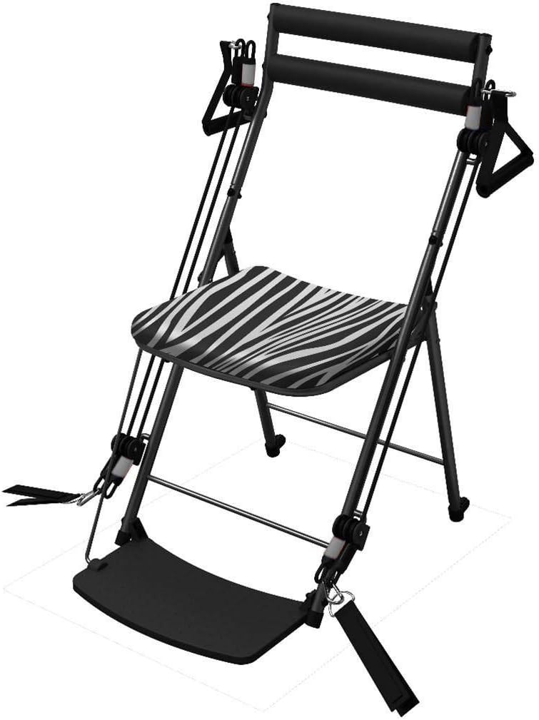 Amazon.com: Chair Gym Total Body Workout Equipment All in One Personal ...