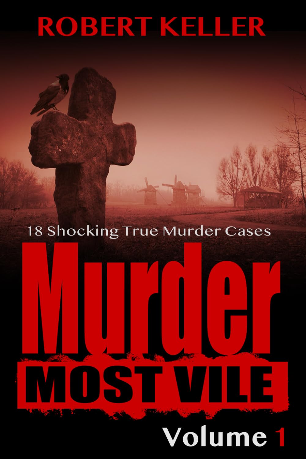 Murder Most Vile Volume 1: 18 Shocking True Crime Murder Cases: Amazon ...