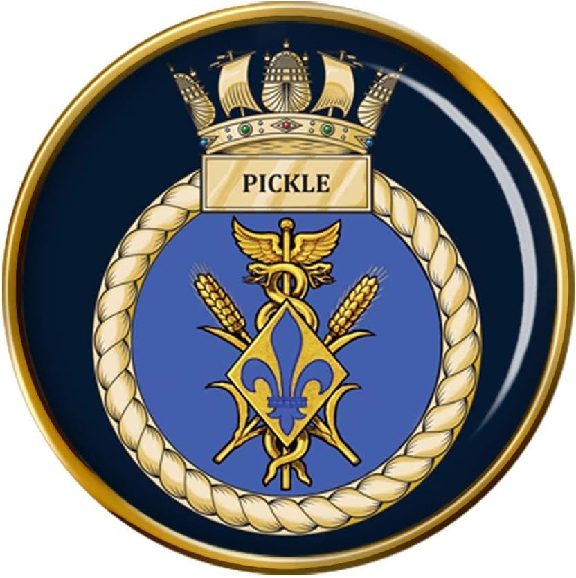 HMS Pickle, Royal Navy Pin Badge : Amazon.co.uk: Fashion