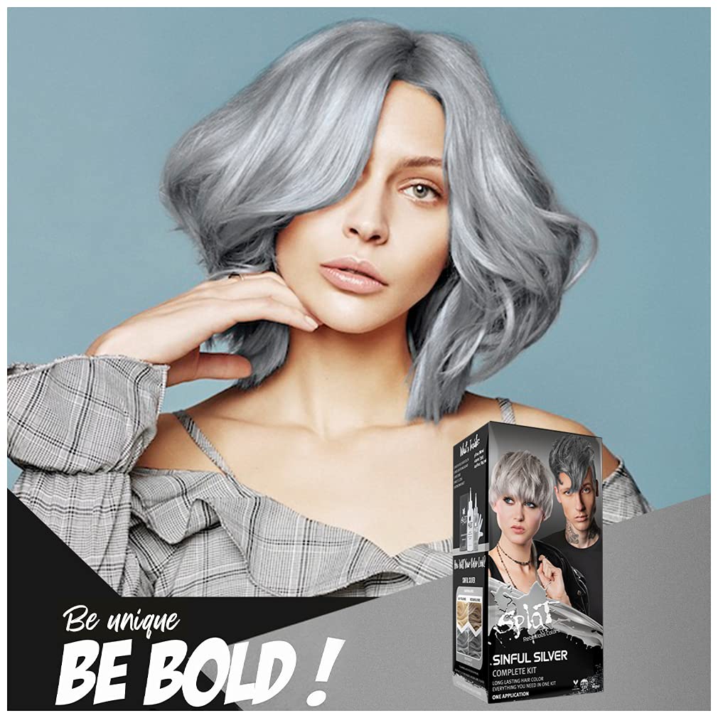 Silver Hair Dye Kit