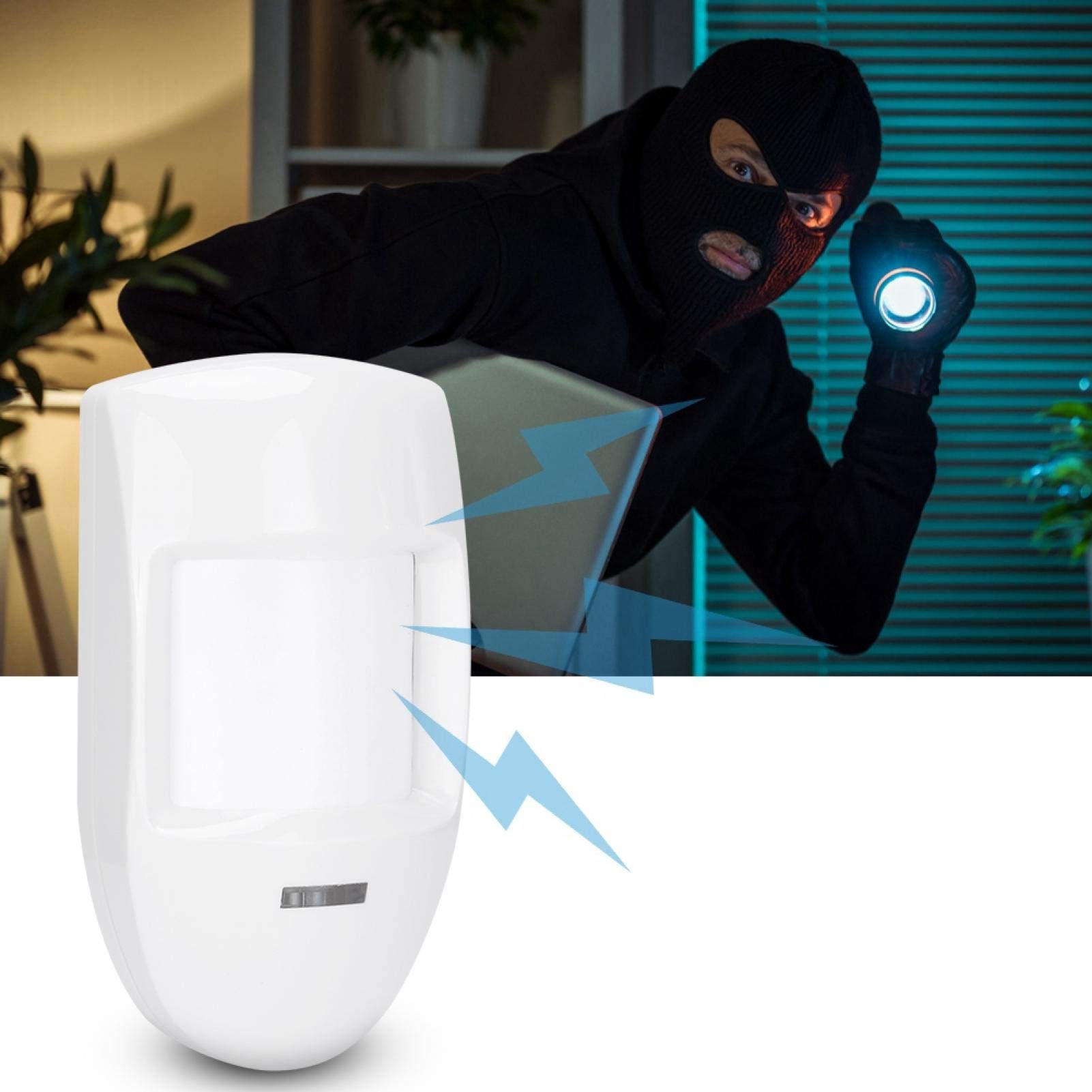 Dual Motion Detector Alarm System