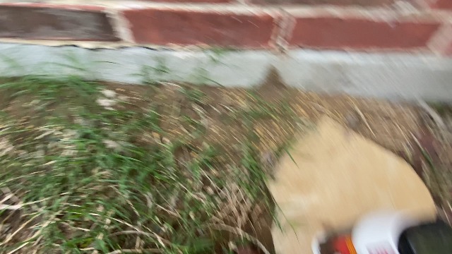 Watch Does this really work? Honest review of Amdro Ant Block. on ...