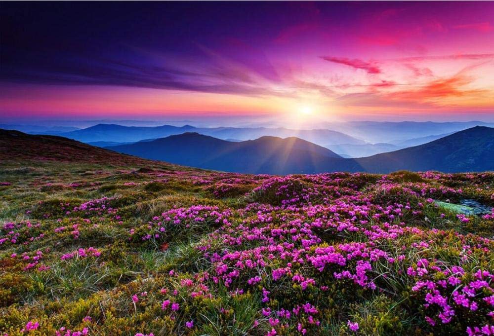 Warm Nature