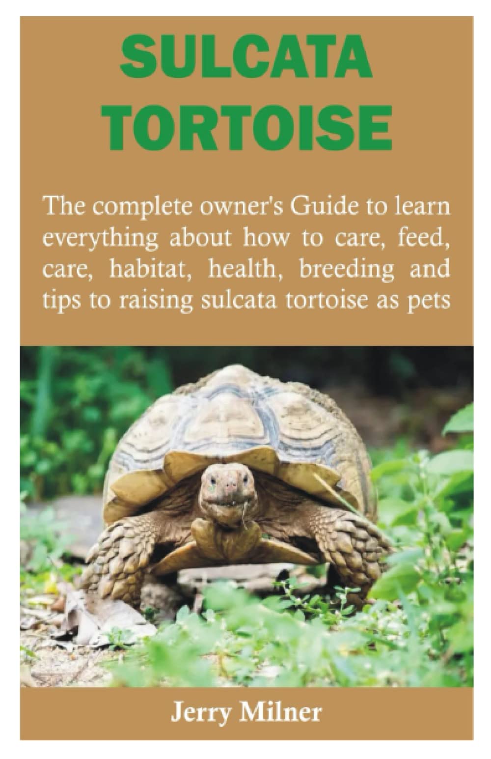 Sulcata Tortoise Care Sheet