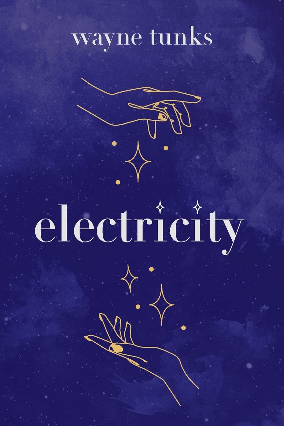 Amazon.com: Electricity: 9781922812124: Tunks, Wayne: Books