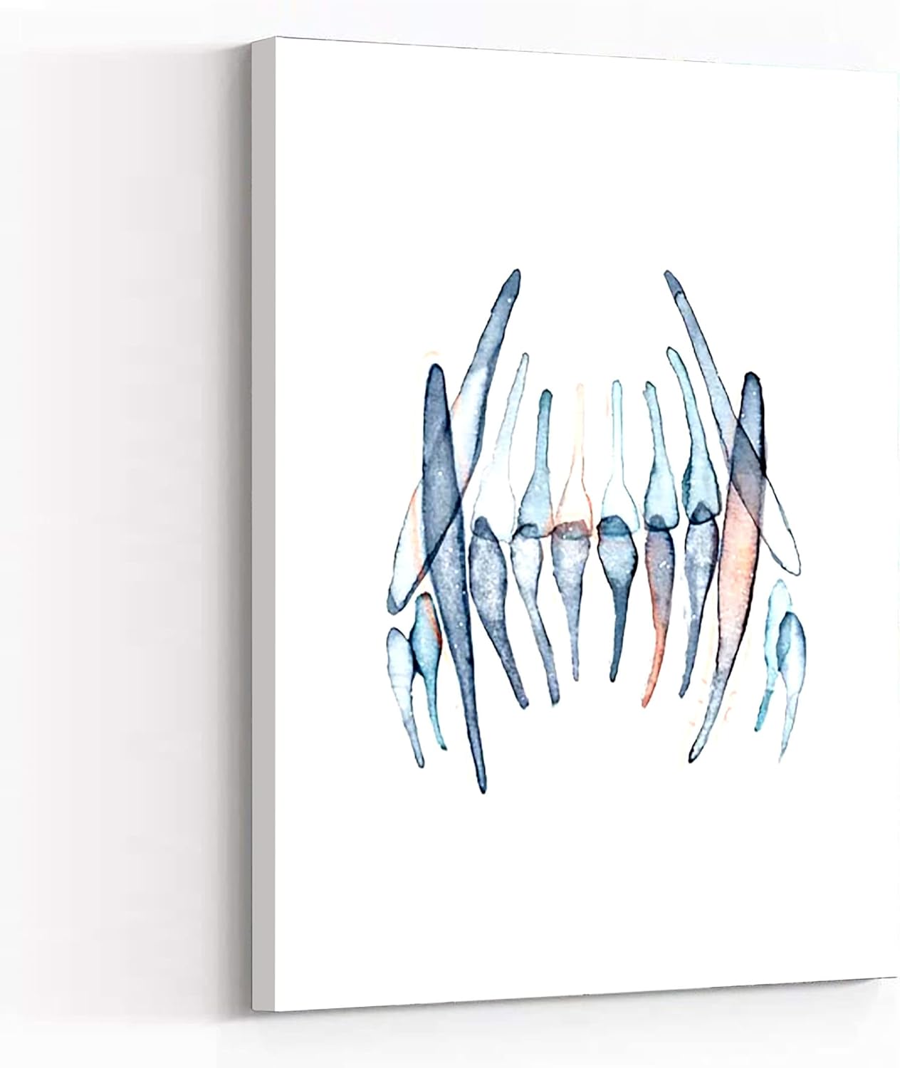 Amazon.com: tooth gifts,work office decor,Canine Tooth Art Poster ...