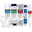 FS-TFC 5-Stage Reverse Osmosis Water Filtration System 100GPD Fast Flow ...