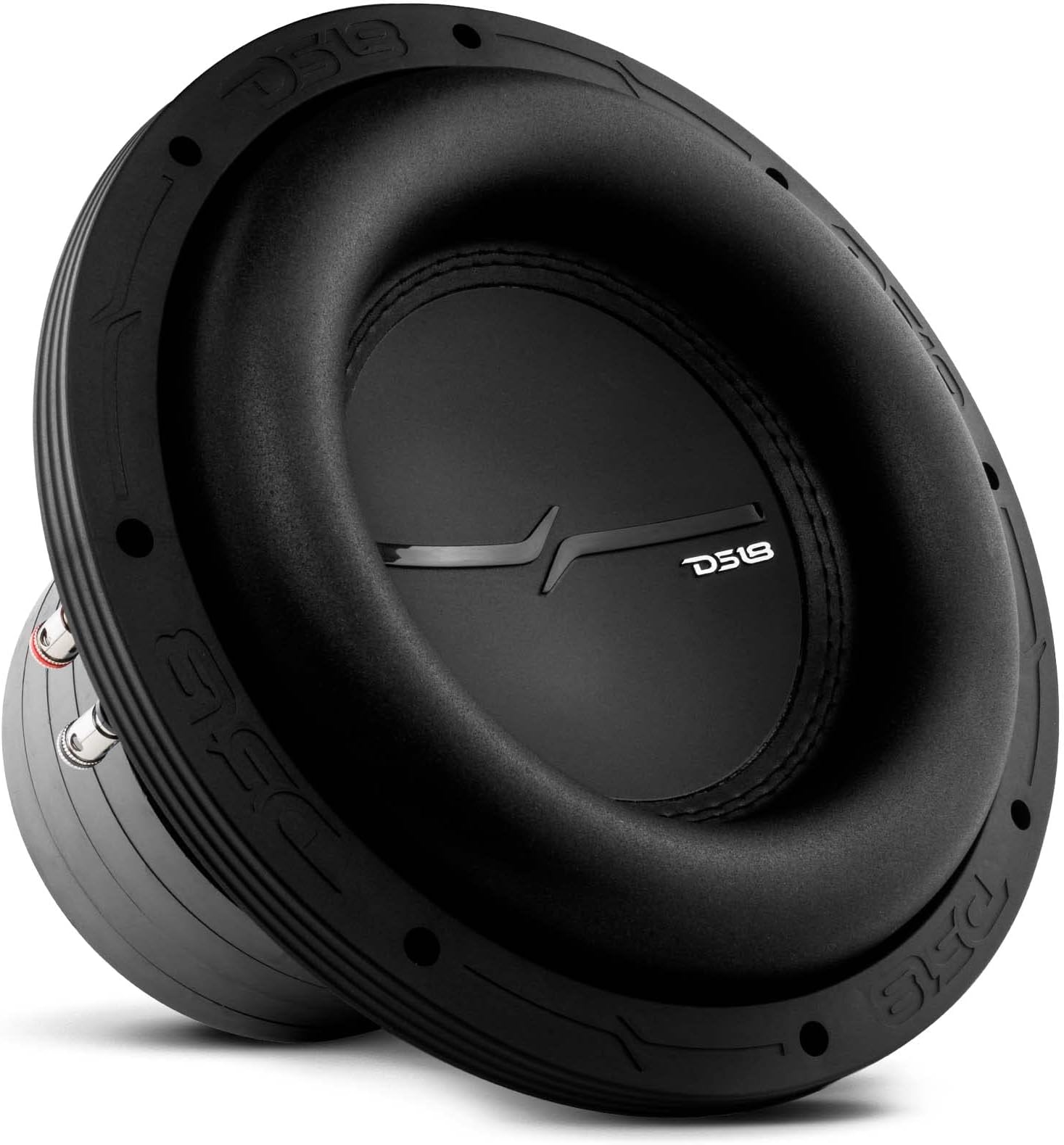 Amazon.com: DS18 ZXI10.4D 10 Inches High Excursion Car Audio Subwoofer ...