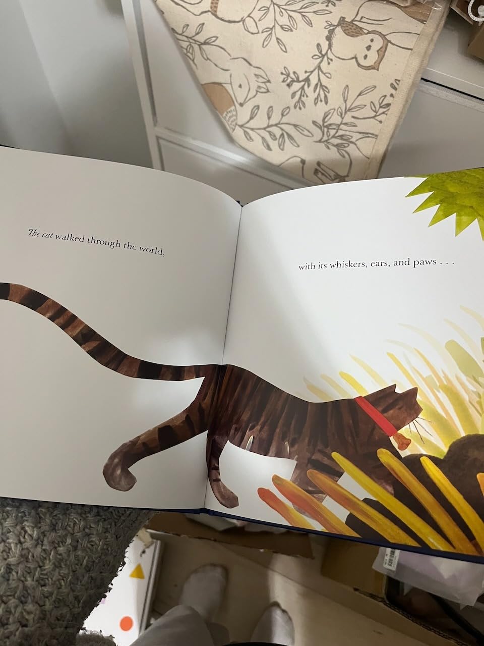 Amazon.com: 《They All Saw a Cat》 精裝版: 9781452150130: Wenzel, Brendan: 圖書